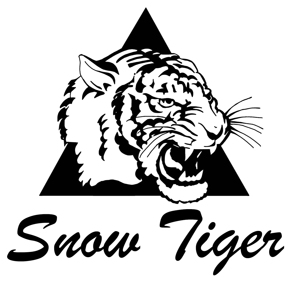 Media Files and Our Logo | Snow Tiger Martial Arts
